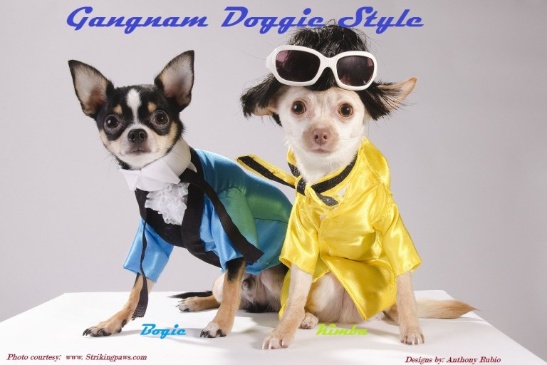 Costumes | Anthony Rubio Designs - Dog Fashion