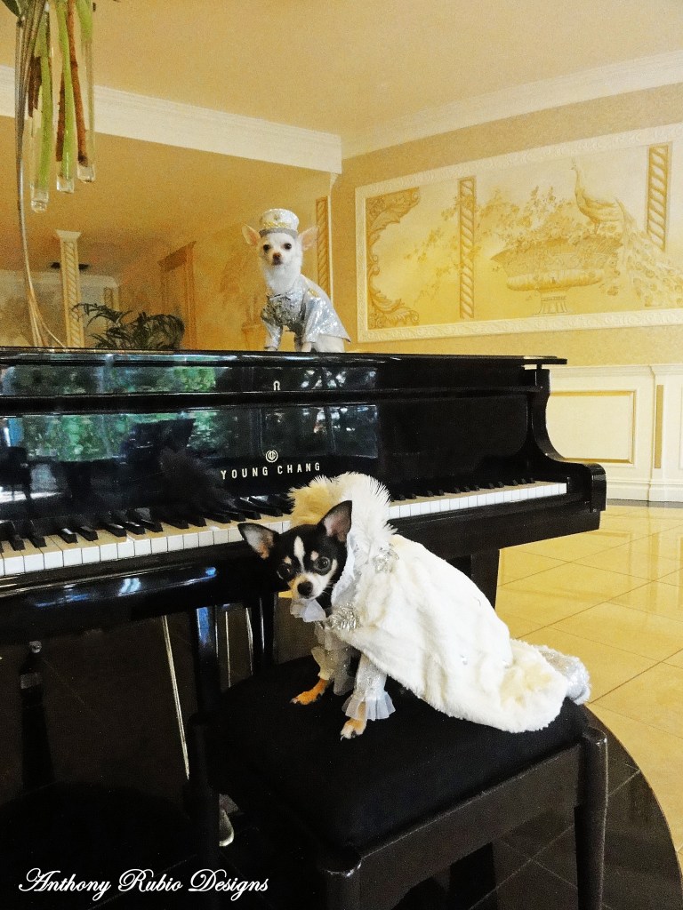 Doppelganger | Anthony Rubio Designs - Dog Fashion