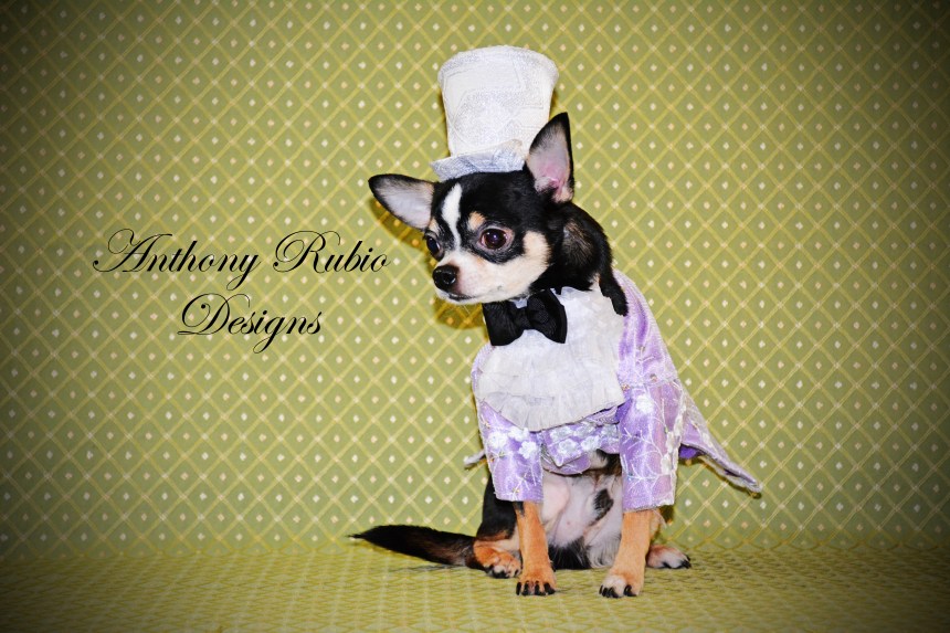 Anthony Rubio’s 2014 Spring Suit Collection | Anthony Rubio Designs ...