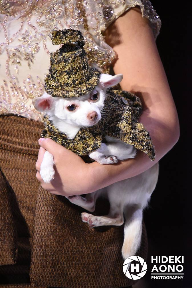 Anthony Rubio Fall/Winter 2016 – New York Fashion Week | Anthony Rubio ...