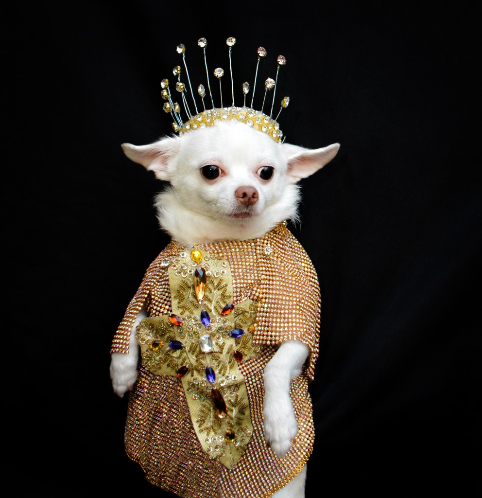 Dogs Wearing Outfits Inspired By Met Gala Heavenly Bodies Exhibit ...