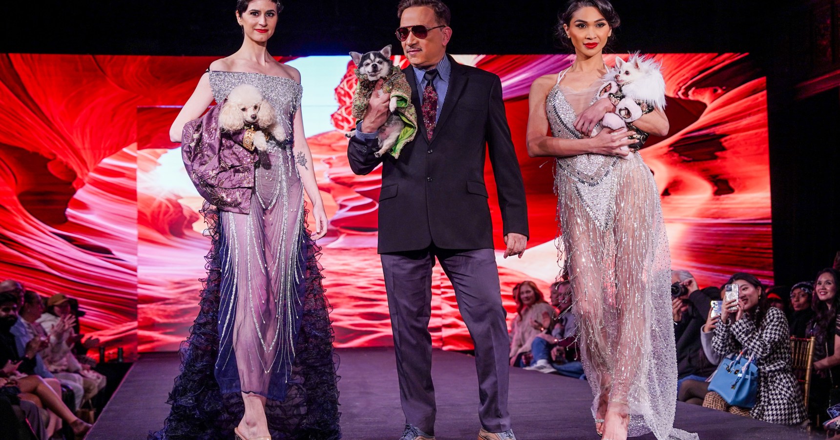 Anthony Rubio Designs - Dog Fashion
