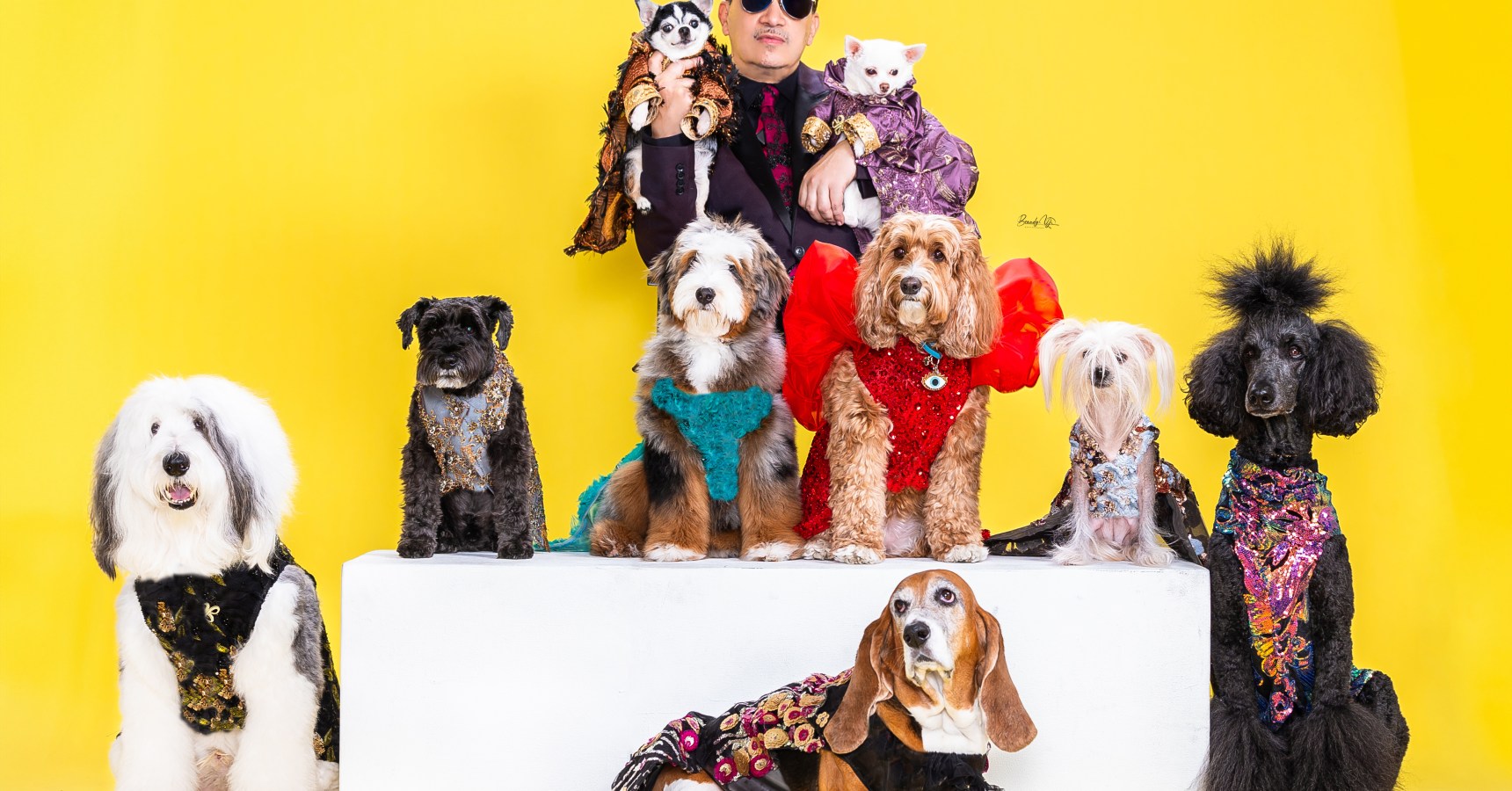 Anthony Rubio Designs - Dog Fashion