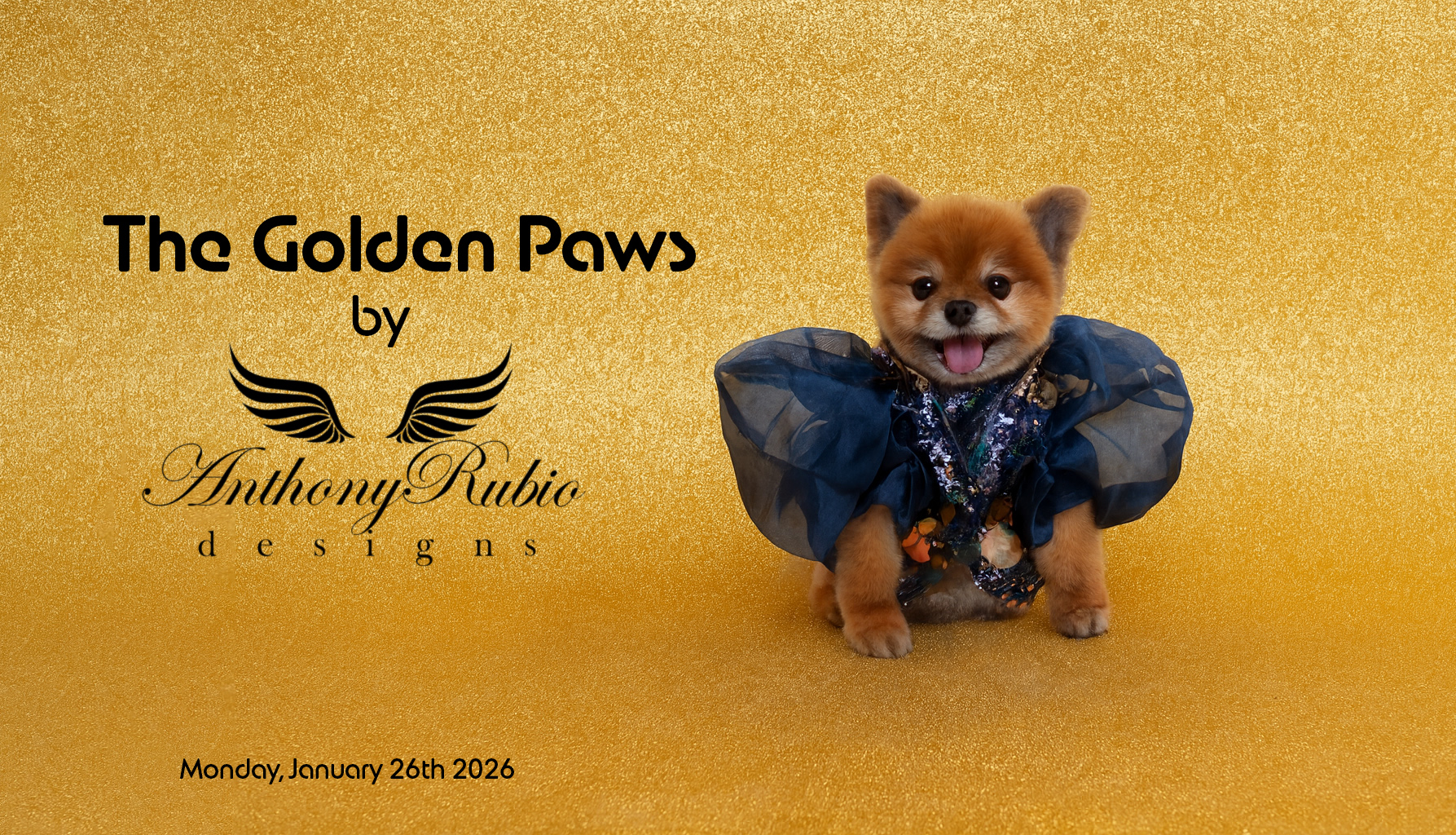 Golden Paws Awards by Anthony Rubio | Anthony Rubio Designs - Dog Fashion