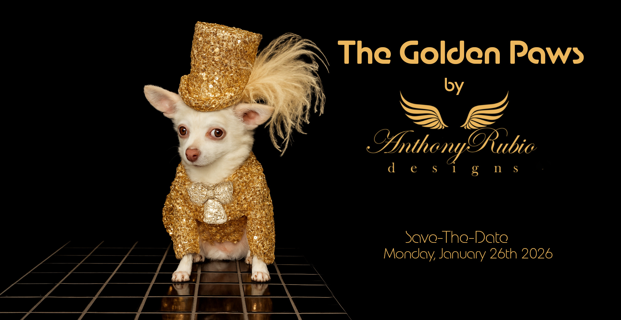 Golden Paws Awards by Anthony Rubio | Anthony Rubio Designs - Dog Fashion
